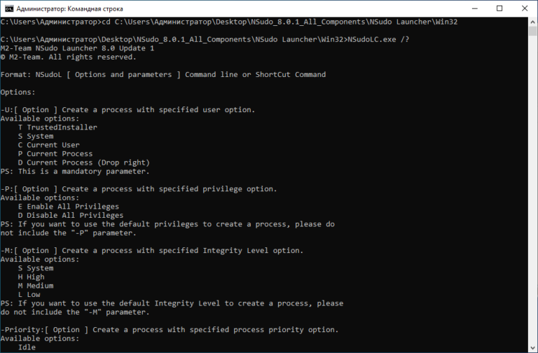 NSudo — простой портативный инструмент, позволяющий запускать процессы ...